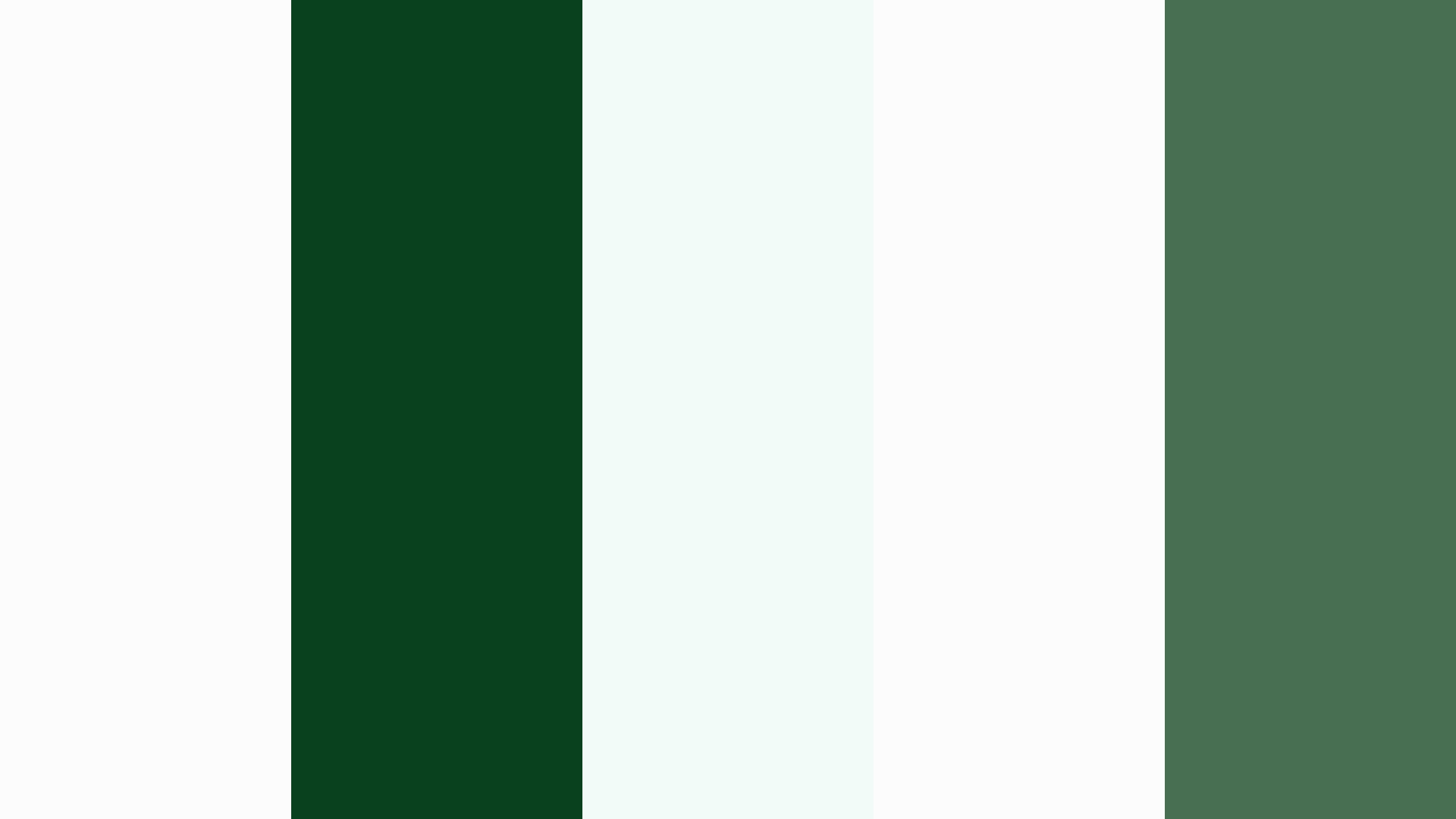 Download Pakistani Flag Clipart PNG Free | FreePngClipart